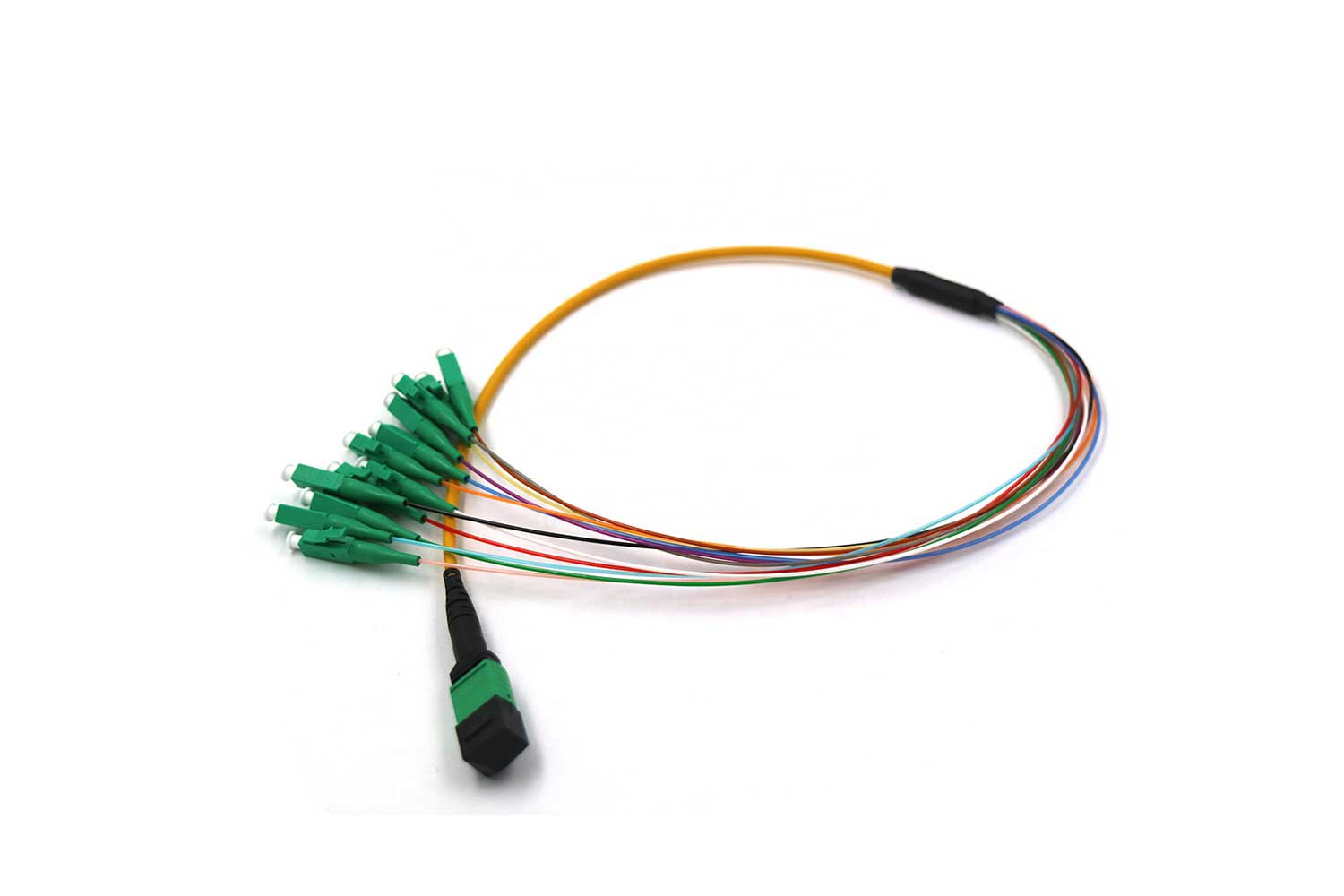 12Core MPO/MTP to LCAPC SM Harness Cable – Spring Optical
